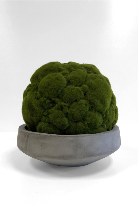 MOSS BALL IN CONCRETE | The Design Co.